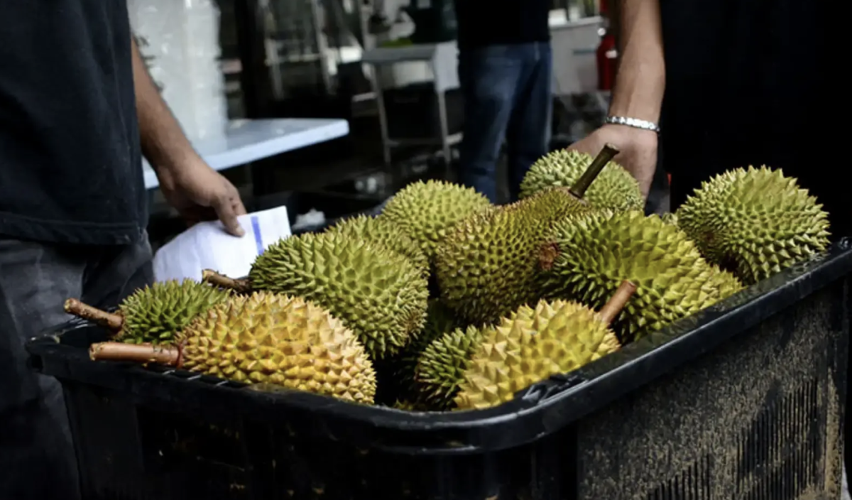 Musang King durian, kuih steal the show at Asean defence minister’s ...